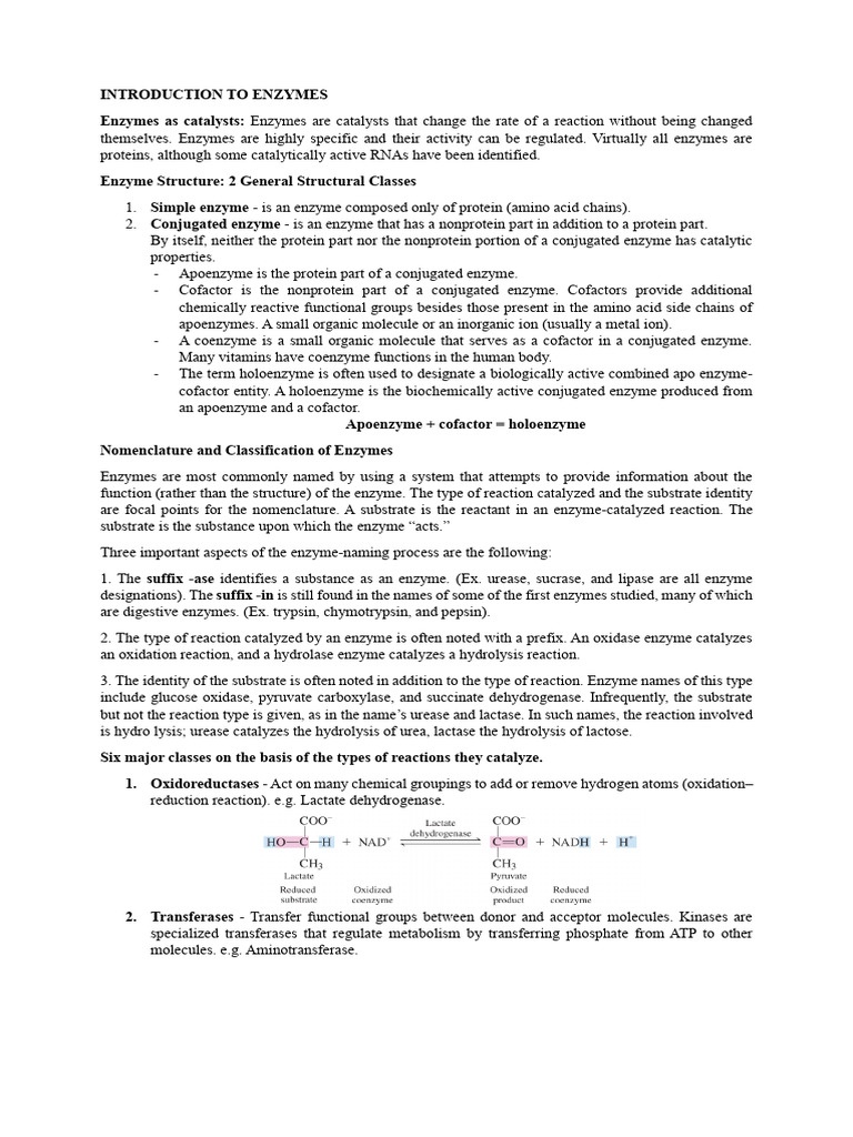 Enzymes Lecture | PDF | Enzyme Inhibitor | Enzyme