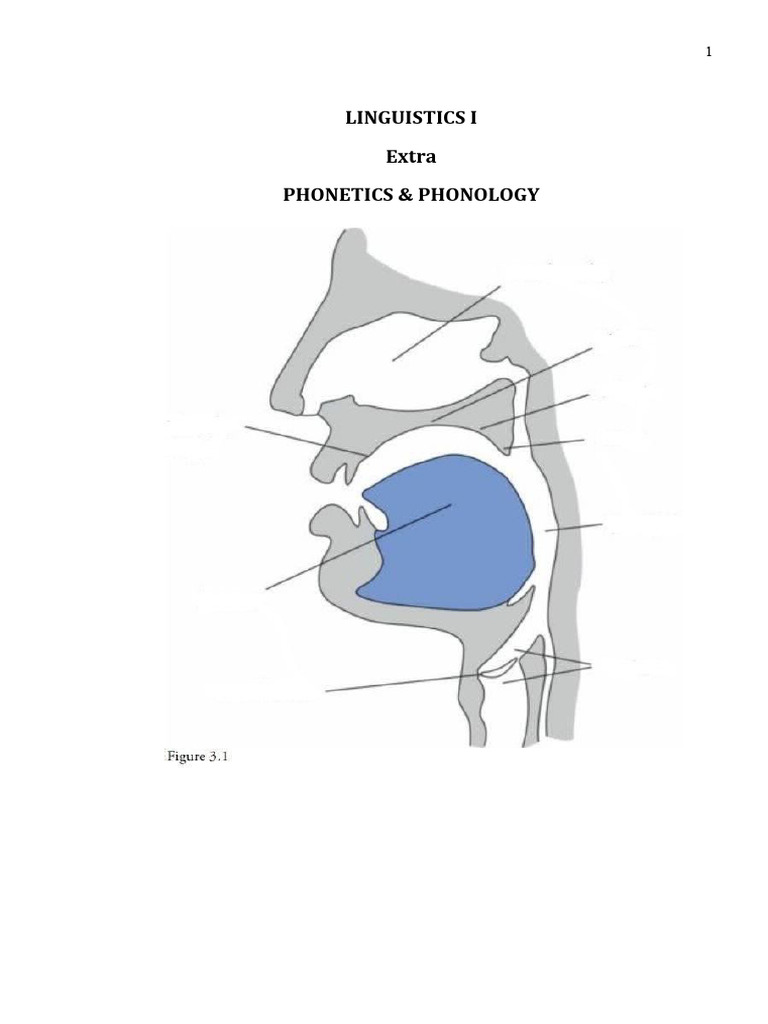 Linguistics 1 | PDF | Consonant | Word
