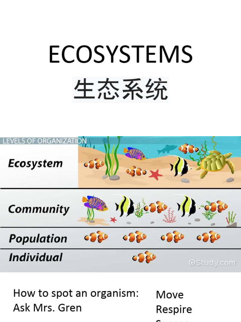 01 Ecosystems Student Booklet Part 1 | PDF