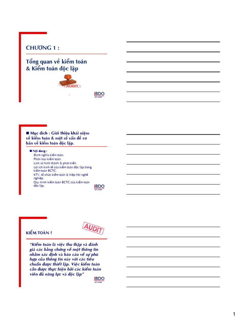 Chuong 1 - Tong Quan Kiem Toan | PDF