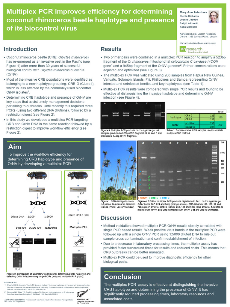 Multiplex PCR Improves Efficiency For Determining CRB Haplotype and ...