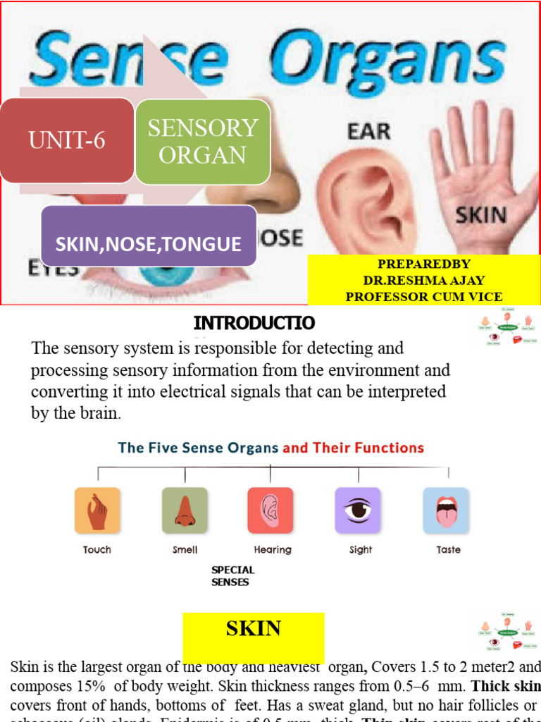 SENSORY ORGAN-SENSE OF SMELL- NOSE,TASTE-TONGUE, TOUCH-SKIN BY DR ...