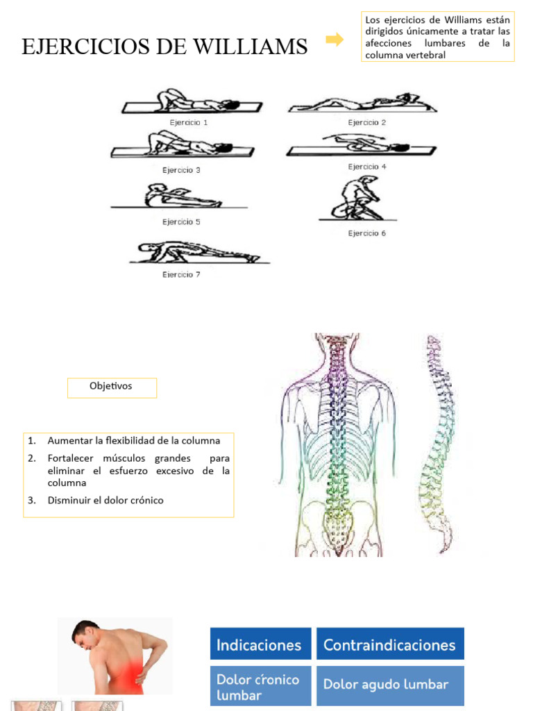 Ejercicios de Williams | Descargar gratis PDF | La columna vertebral | Rodilla