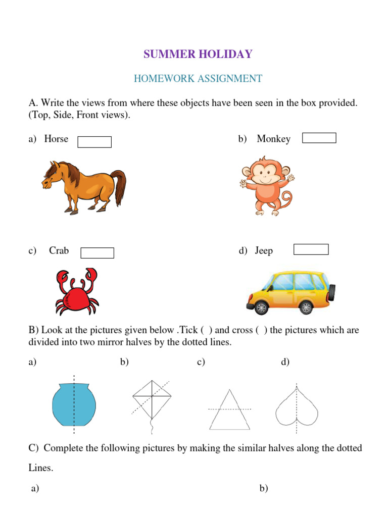 Class 3rd Holiday Homework | PDF