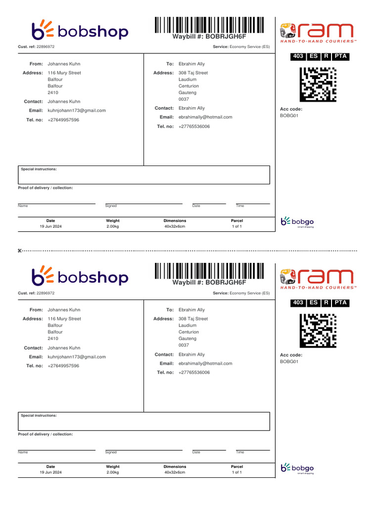 Economy Service Waybill BOBRJGH6F | PDF