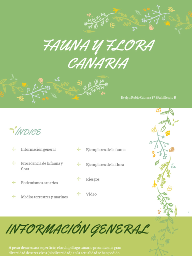 Flora y Fauna Canaria | PDF | Islas Canarias | Isla