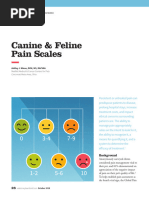 Quality of Life Scale (HHHHHMM Scale) - 2 | PDF