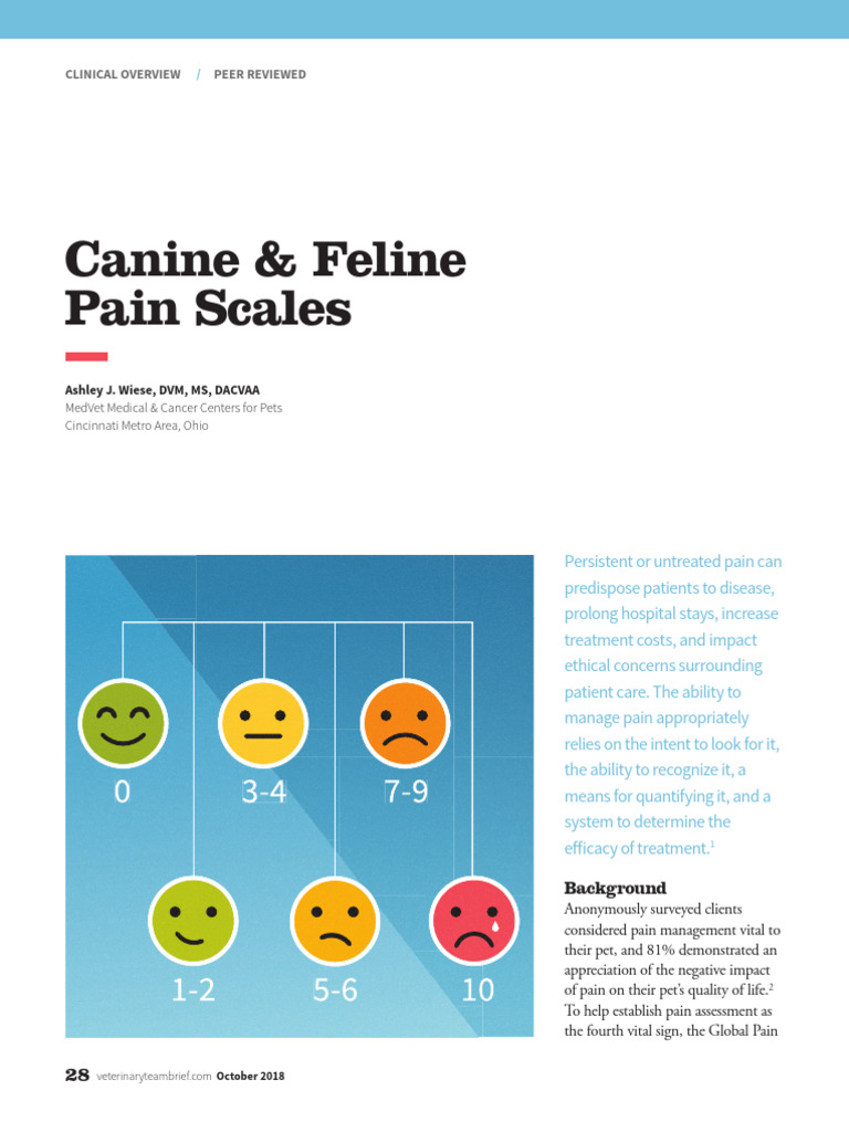 Canine Pain Assessment Scales Overview | PDF | Pain | Anesthesia