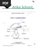 Bio F1 Rev - Sam Obare | PDF | Photosynthesis | Stoma