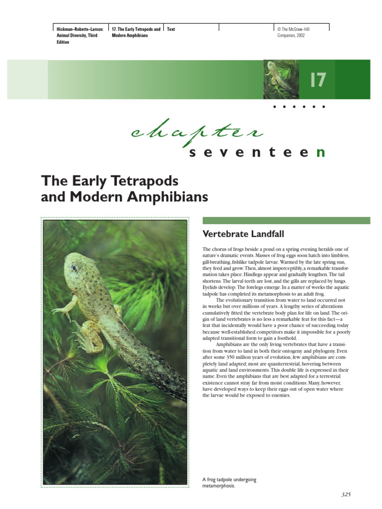 Amphibians Reptiles | PDF | Amphibian | Frog