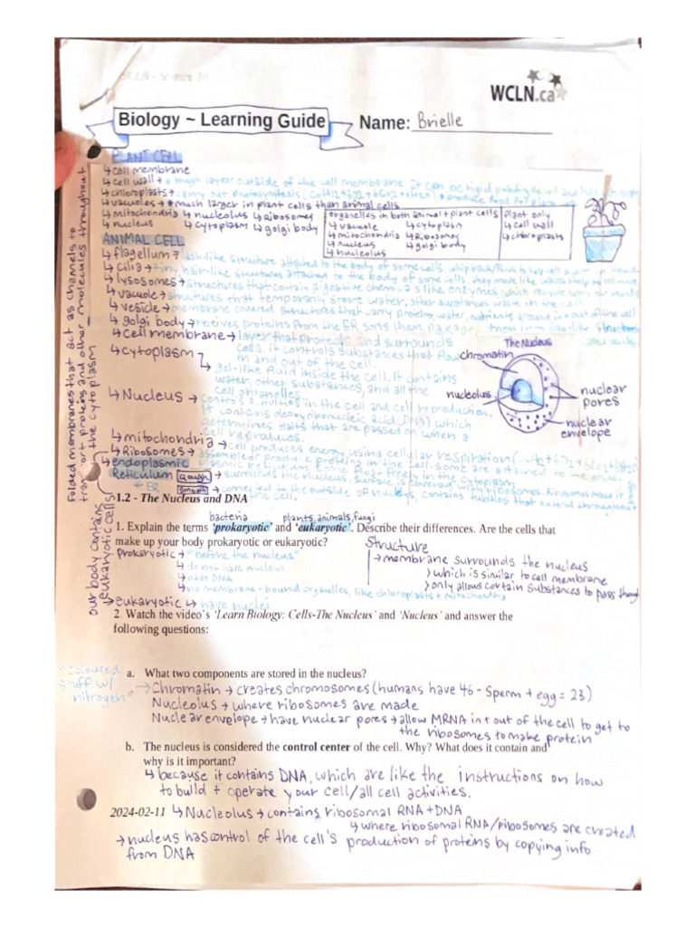 Biology - Learning Guide | PDF