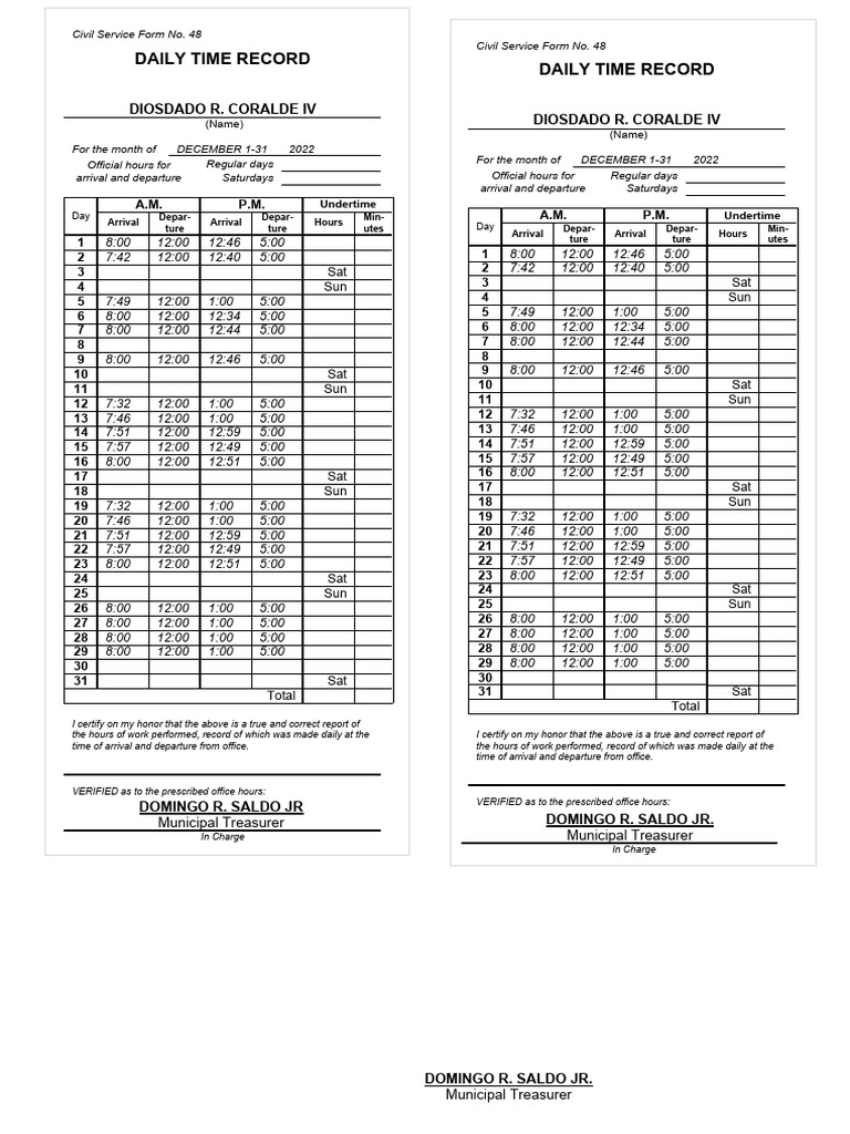 dads Daily Time Record (DTR) | PDF | Common Law | Judiciaries