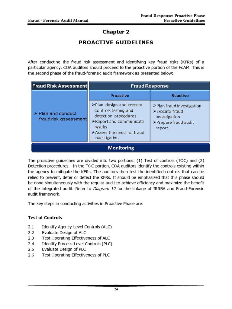 02 - 0 - Proactive Guidelines | PDF | Audit | Financial Audit