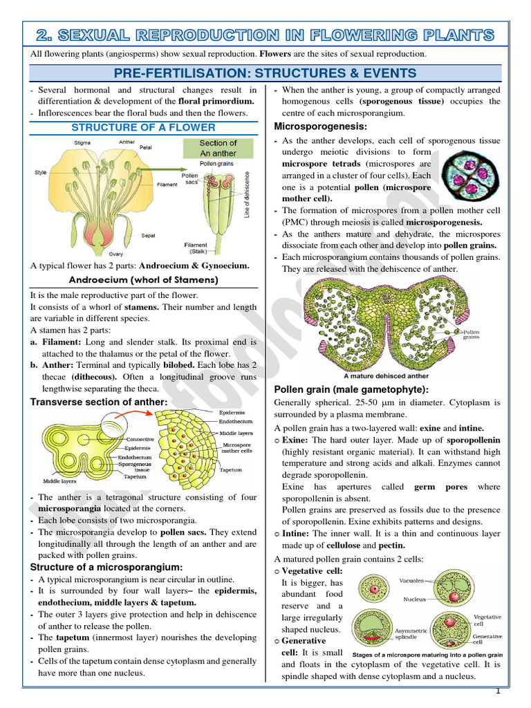 CH1 Notes | PDF | Seed | Flowers