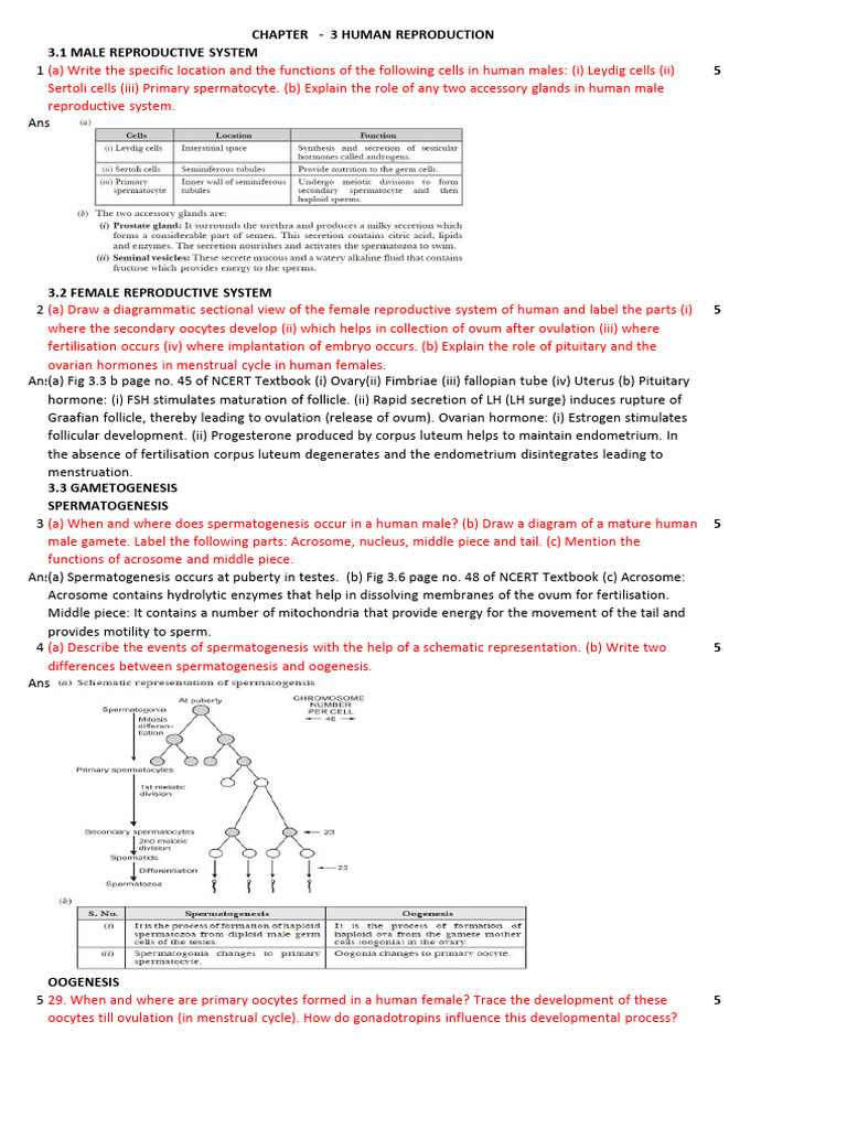 BIO CH2 Q-A WRITE | PDF | Menstrual Cycle | Luteinizing Hormone