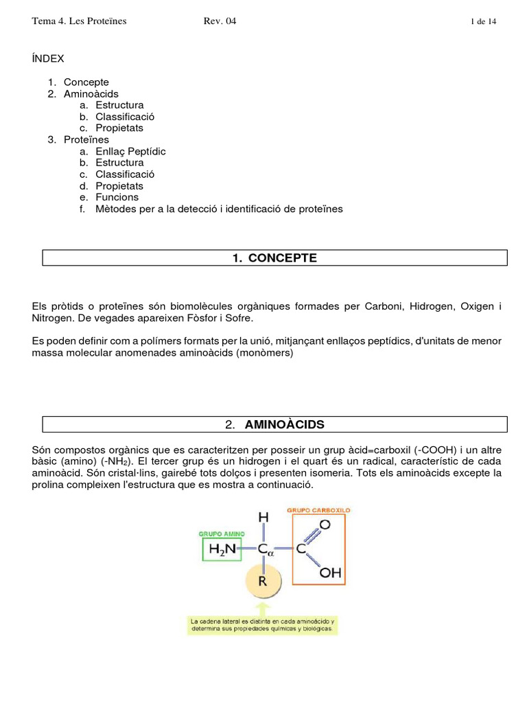 U4 Les Protïenes | PDF