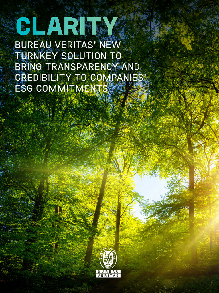 BV Clarity Leaflet | PDF | Sustainability | Audit