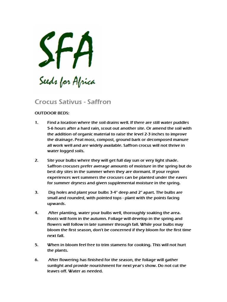 Crocus Sativus Saffron | PDF | Agriculture | Horticulture