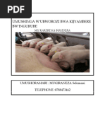 Utb New Programs Flyer - Jan 2025 | PDF