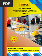 1 Modul PKL Elemen 1 Softskill Apl Ok | PDF | Karier & Perkembangan | Seni