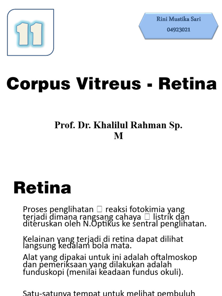 Corpus Vitreus - Retina | PDF