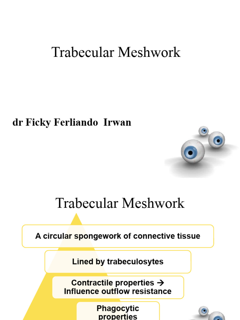 Trabecular Meshwork Pdf Tissue Biology Anatomy