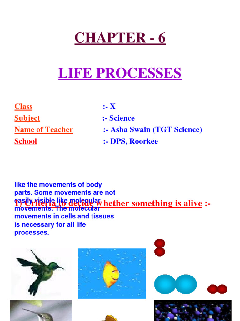 6 Life Processes Pdf Cellular Respiration Atrium Heart 