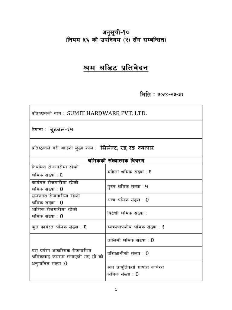 Shram Audit | PDF | Computers