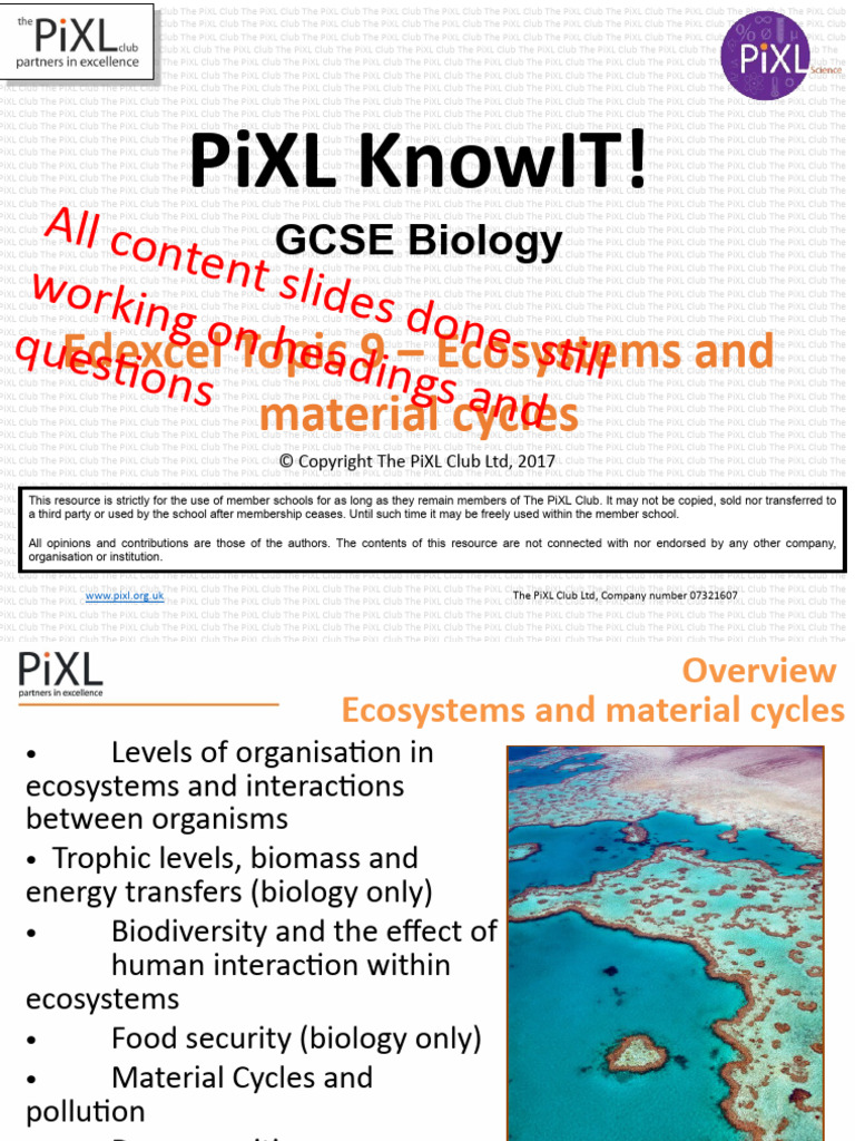 Edexcel Biology Ecosystems and Material Cycles GCSE | PDF | Food Web ...