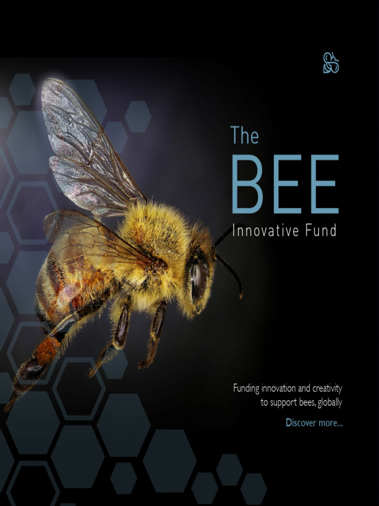 Bee Innovative | PDF | Beehive | Bees