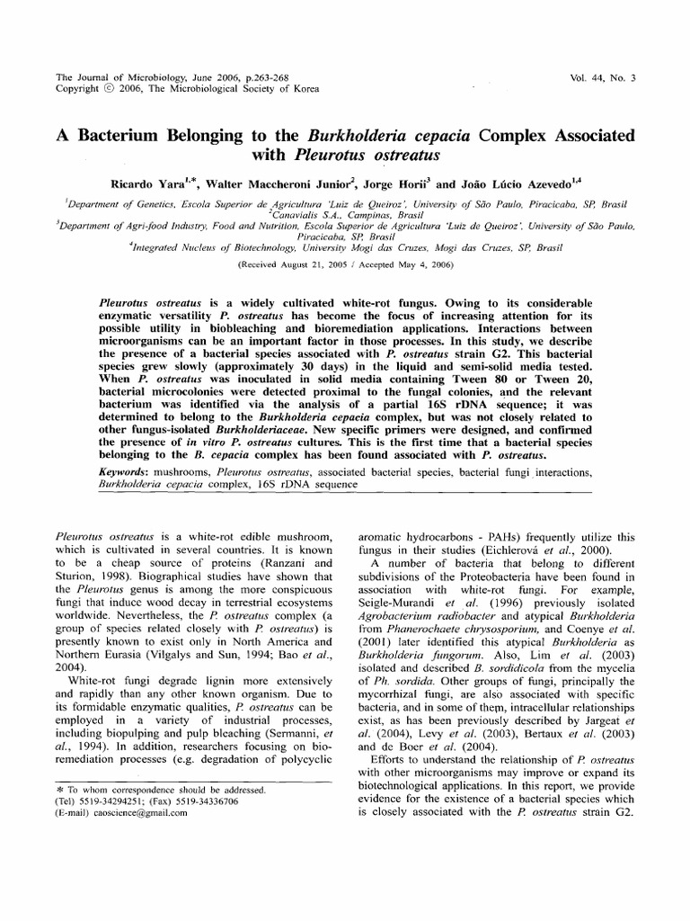 A Bacterium Belonging To The Burkholderia Cepacia Complex Associated ...