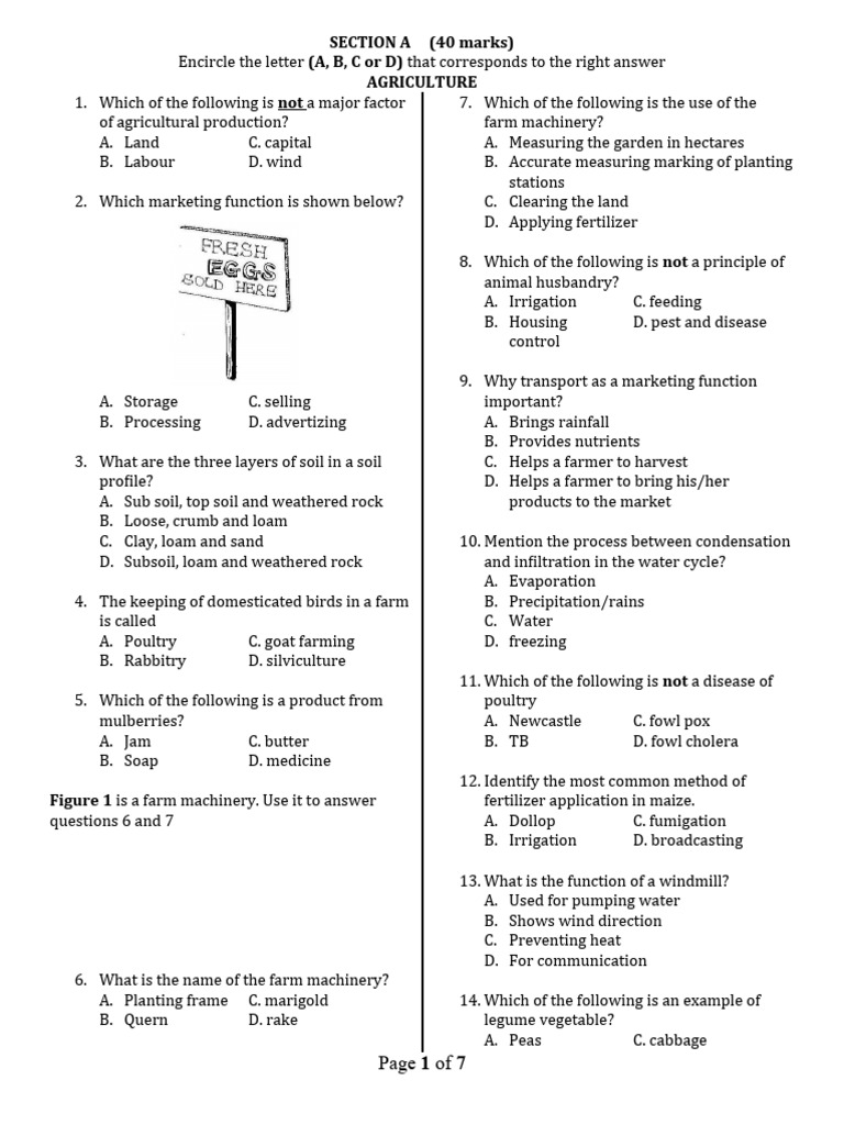 Standard 7 Science Exam Questions | PDF | Flowers | Soil