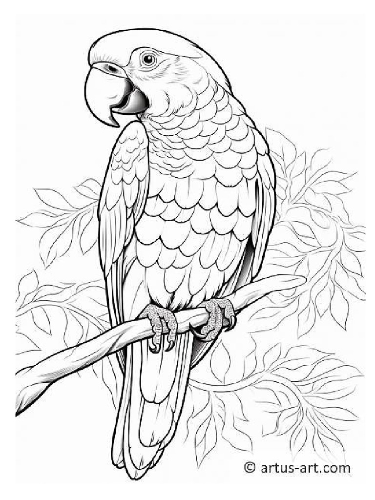 Loro Pintar Arte | PDF