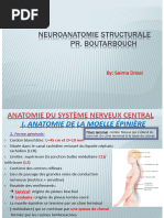 Anatomie de la région de la nuque | PDF | Vertèbre | Colonne vertébrale