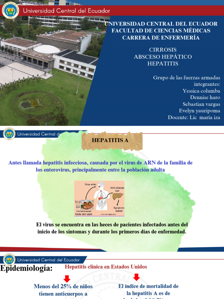 Hepatitis | PDF | Hepatitis | Hepatitis B