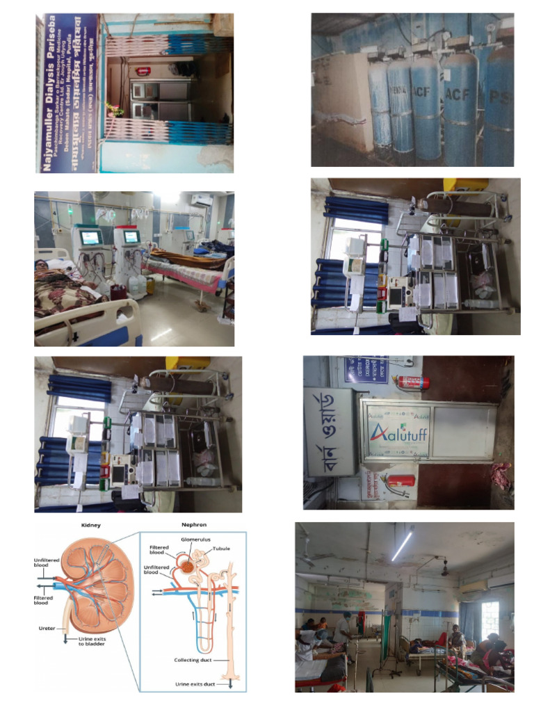 Dialysis | PDF
