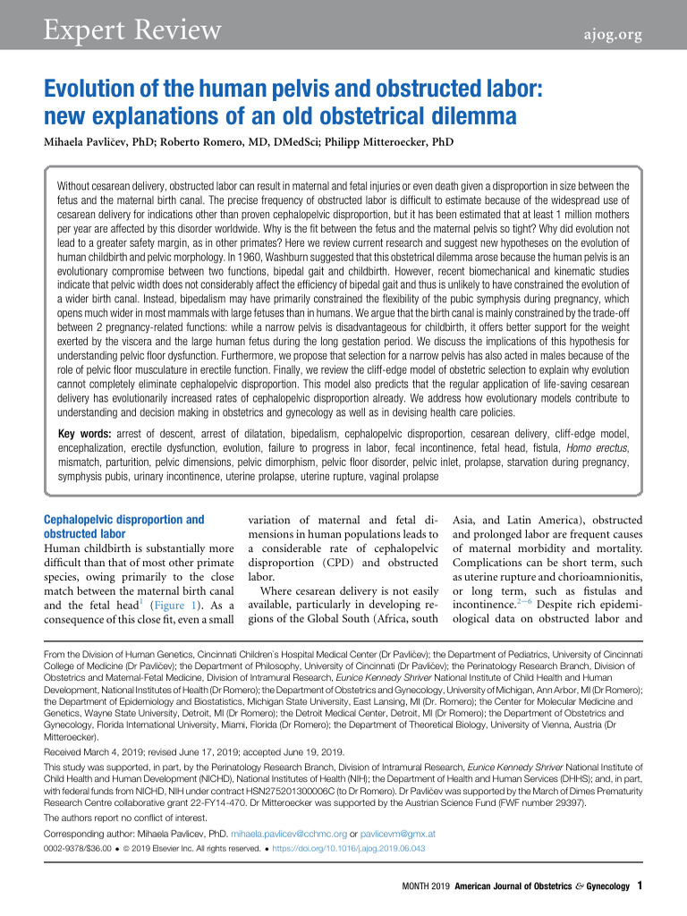 Evolution of The Human Pelvis and Obstructed Labor - 2019 | PDF ...