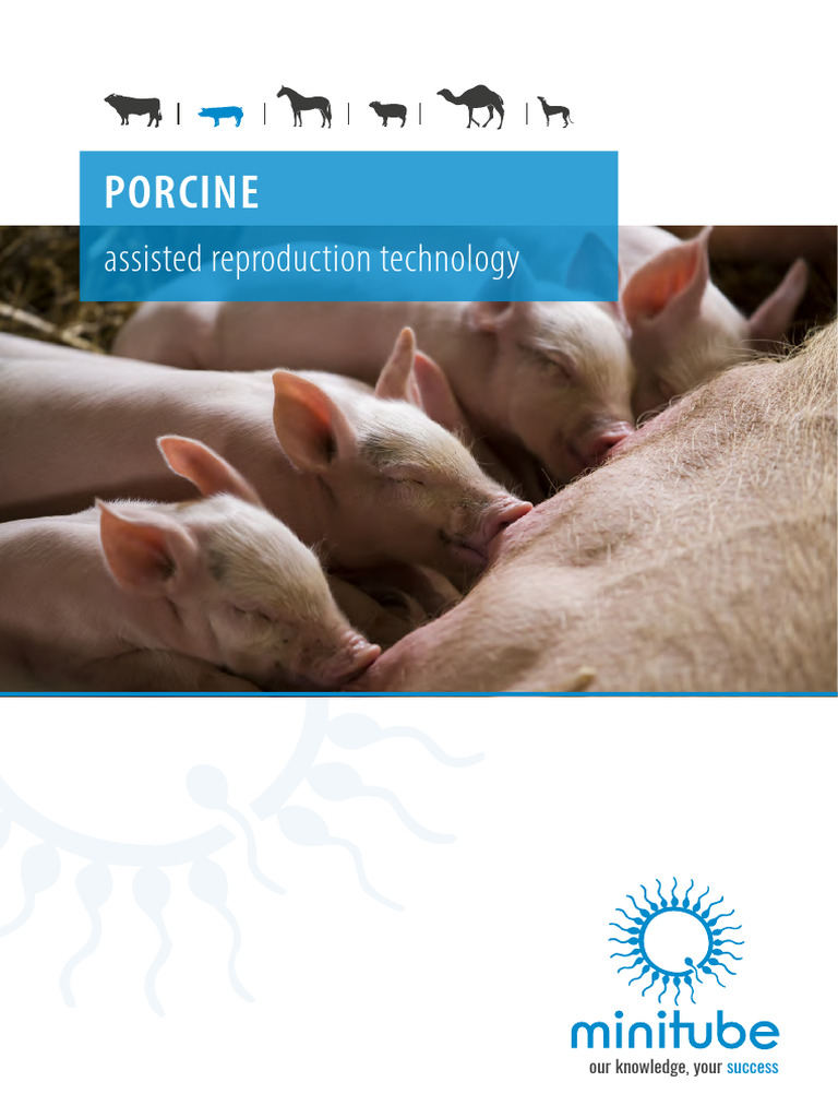 Minitube Catalog - Porcine Reproduction Technology | PDF | Radio ...