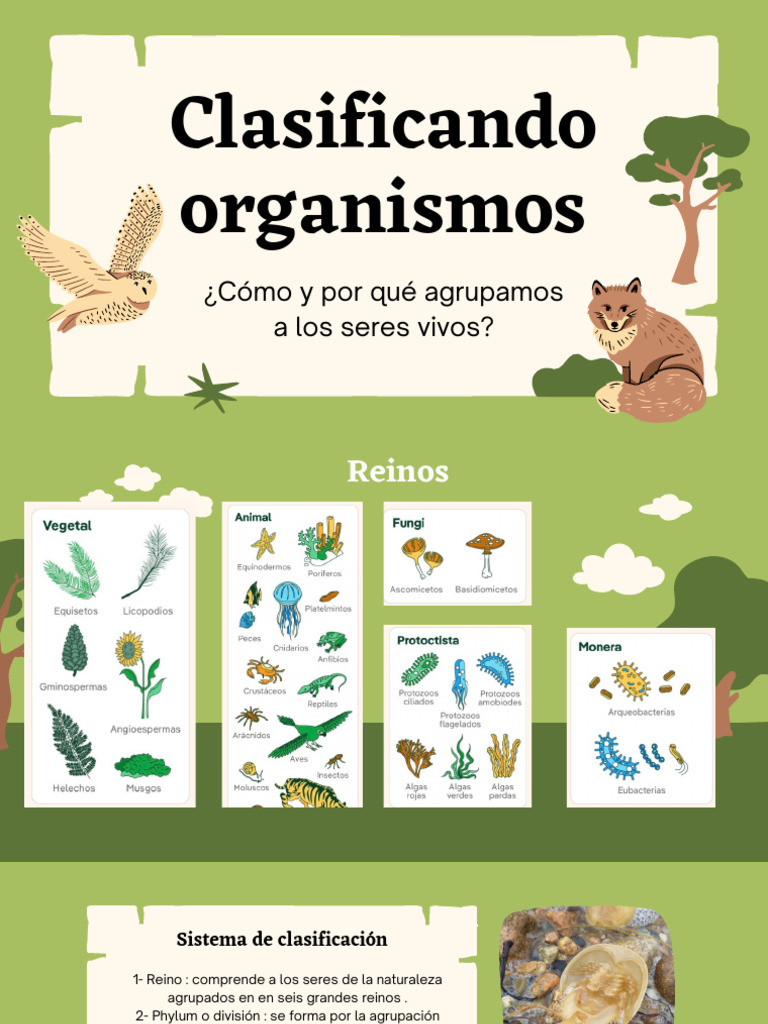 Classifying Organisms Education Presentación Educativa de Clasificación ...