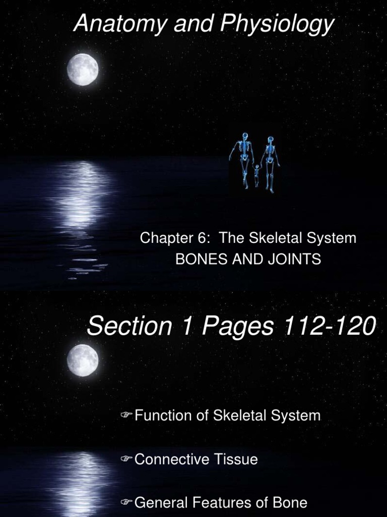 Anatomy and Physiology: Chapter 6: The Skeletal System Bones and Joints ...