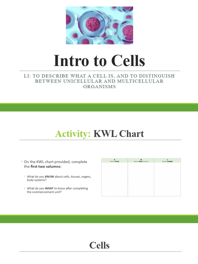 1 Intro To Cells | PDF | Cell (Biology) | Organisms