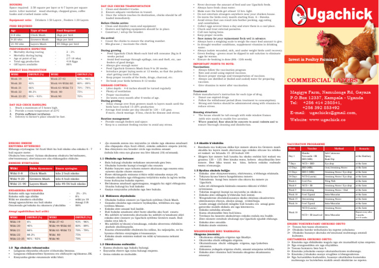 A3 Uga Chic Brochure 2021 LAYERS New | PDF | Aviculture | Poultry