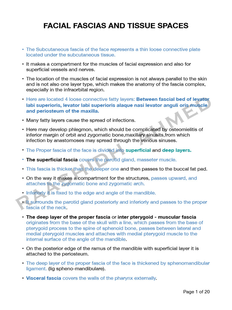 Ahmed: Facial Fascias and Tissue Spaces | PDF | Common Carotid Artery ...