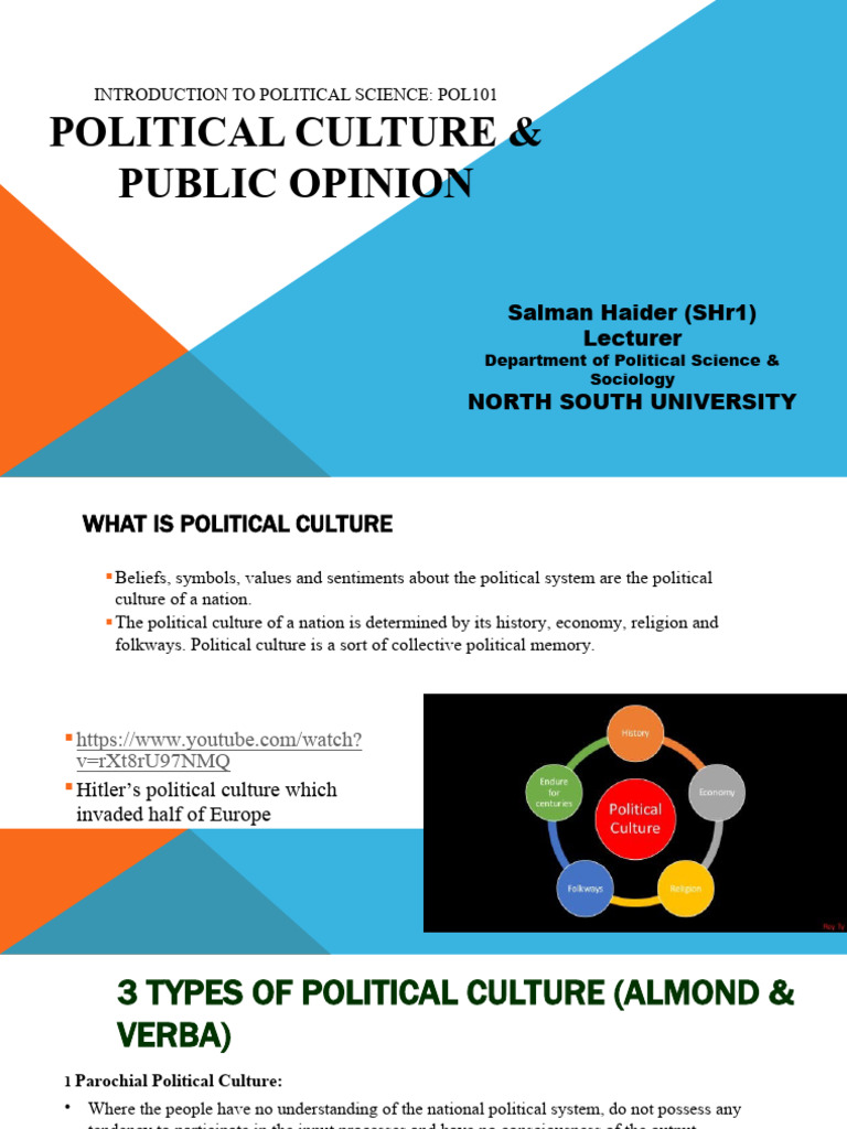 Understanding Political Culture & Opinion | PDF | Public Opinion ...