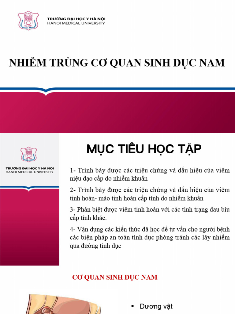 Slide LEC19 S2.11 | PDF