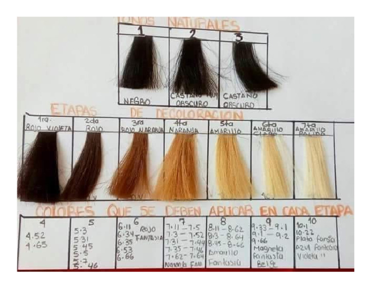 Etaps Decolaracion | PDF