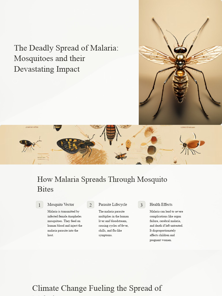 Malaria: Mosquito Impact & Control Strategies | PDF | Malaria | Ddt