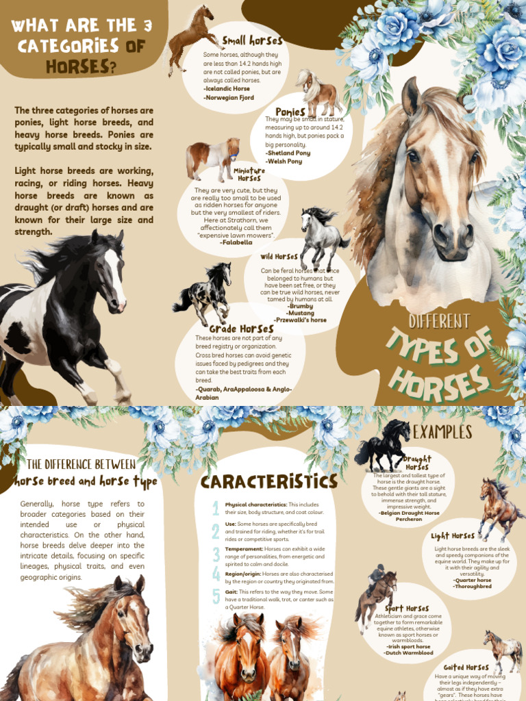 Horses | PDF | Horses | Pony