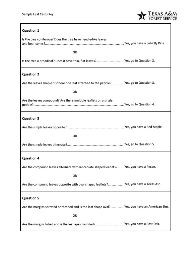 Dichotomous Key Texas Trees Assignment | PDF