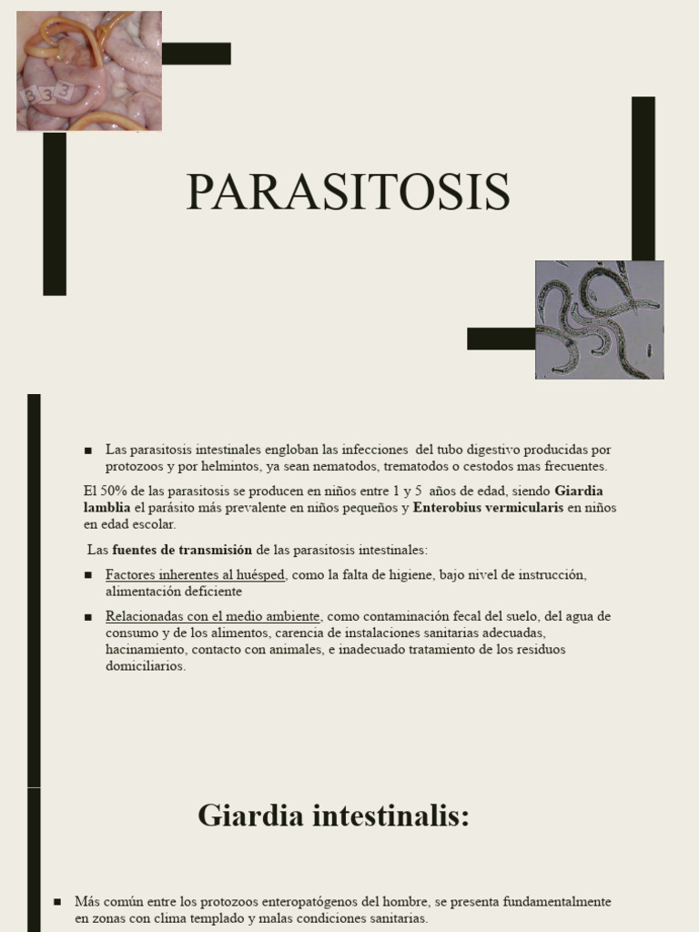 Parasitosis | PDF | Heces | Especialidades Medicas